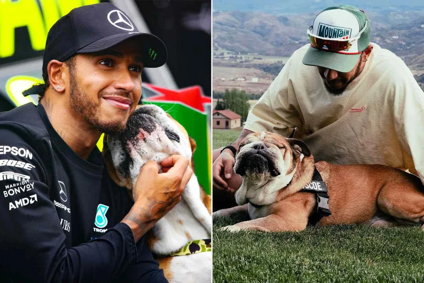 Lewis Hamilton Honors Roscoe’s Loyal Caregiver After Loss