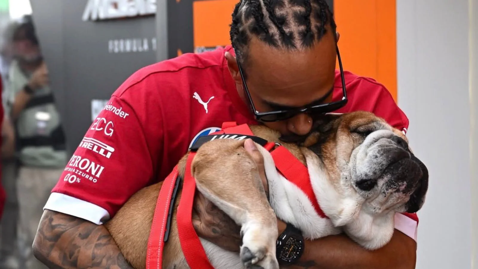 Lewis Hamilton Overwhelmed by Messages After Pet Dog's Death